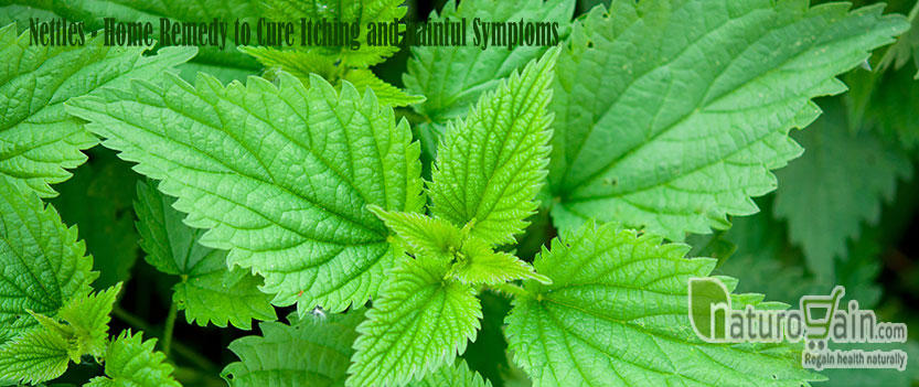 7 Home Remedies For Hives And To Stop Itching