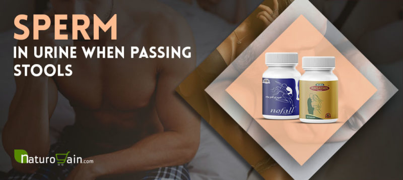 How To Stop Sperm In Urine When Passing Stools [naturally] With Herbs