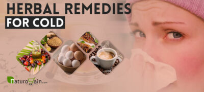 11 Effective Herbal Cold Remedies - Treat Cold Symptoms [Naturally]